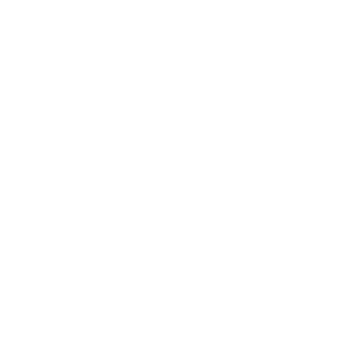Services – CIS Solutions